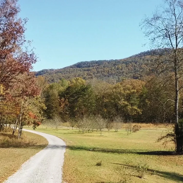 Rising Fawn Gardens | A Stunning Retreat Space | Georgia