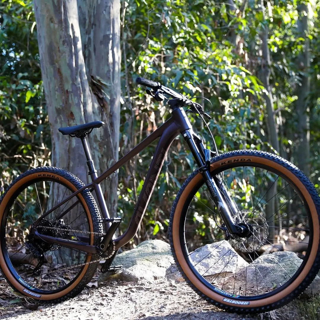 Avanti | Explore Your Ride — Bike Haven