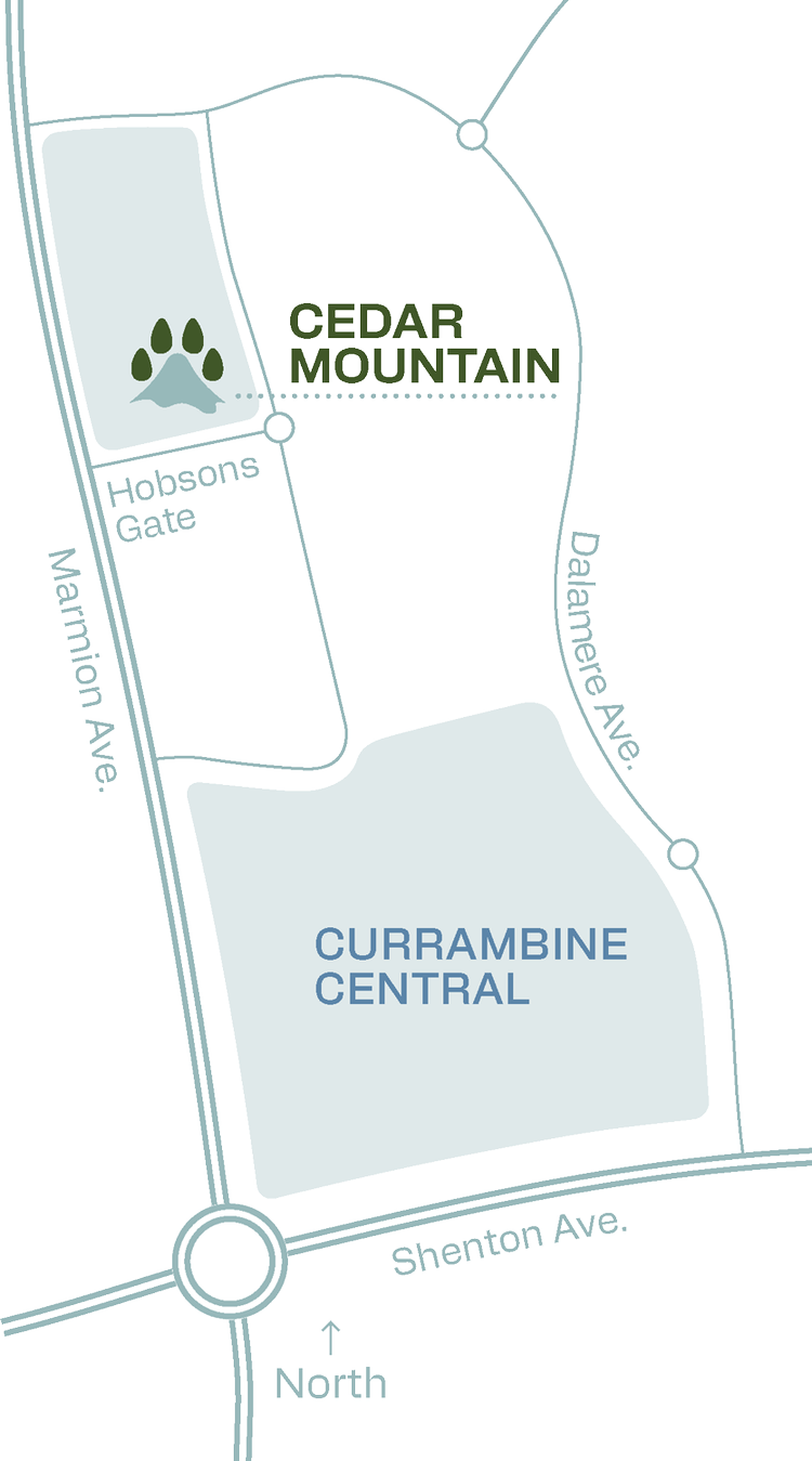 Contact — Cedar Mountain Vet Referral
