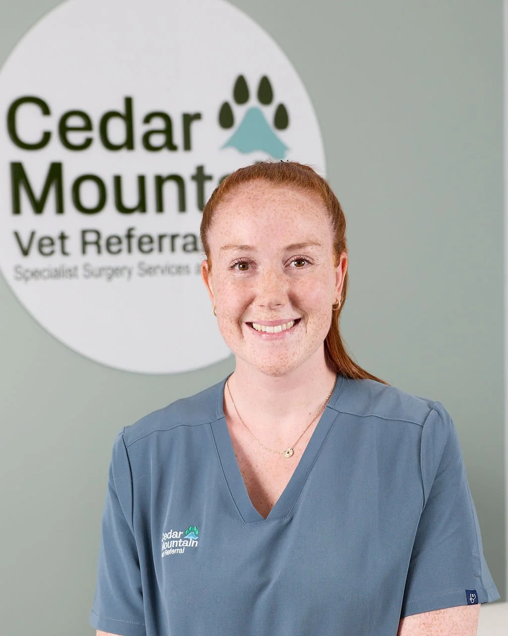 Small Animal Specialist Surgery Services and Rehabilitation in Perth ...