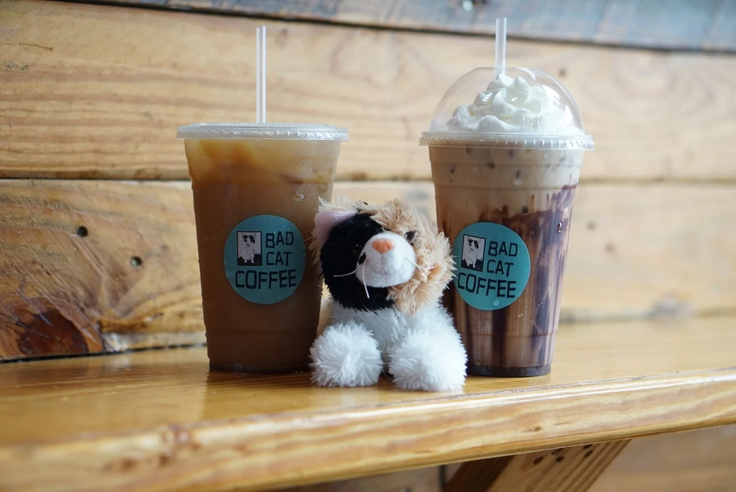 Bad Cat Coffee Co.