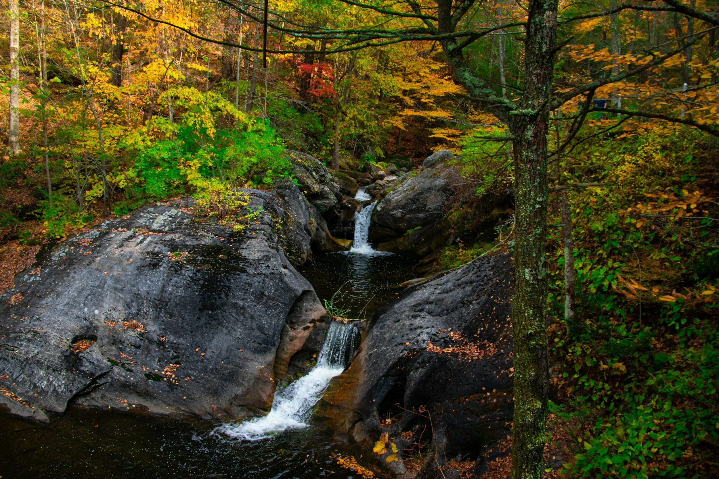 Public Hunting Land in Connecticut — LandsToHunt.com