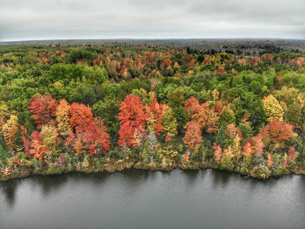 Public Hunting Land in Michigan — LandsToHunt.com