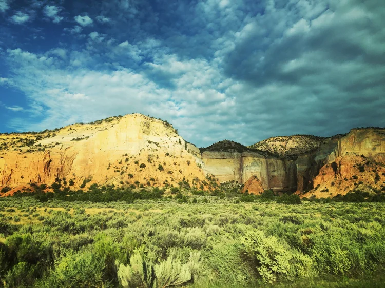 Public Hunting Land in New Mexico — LandsToHunt.com