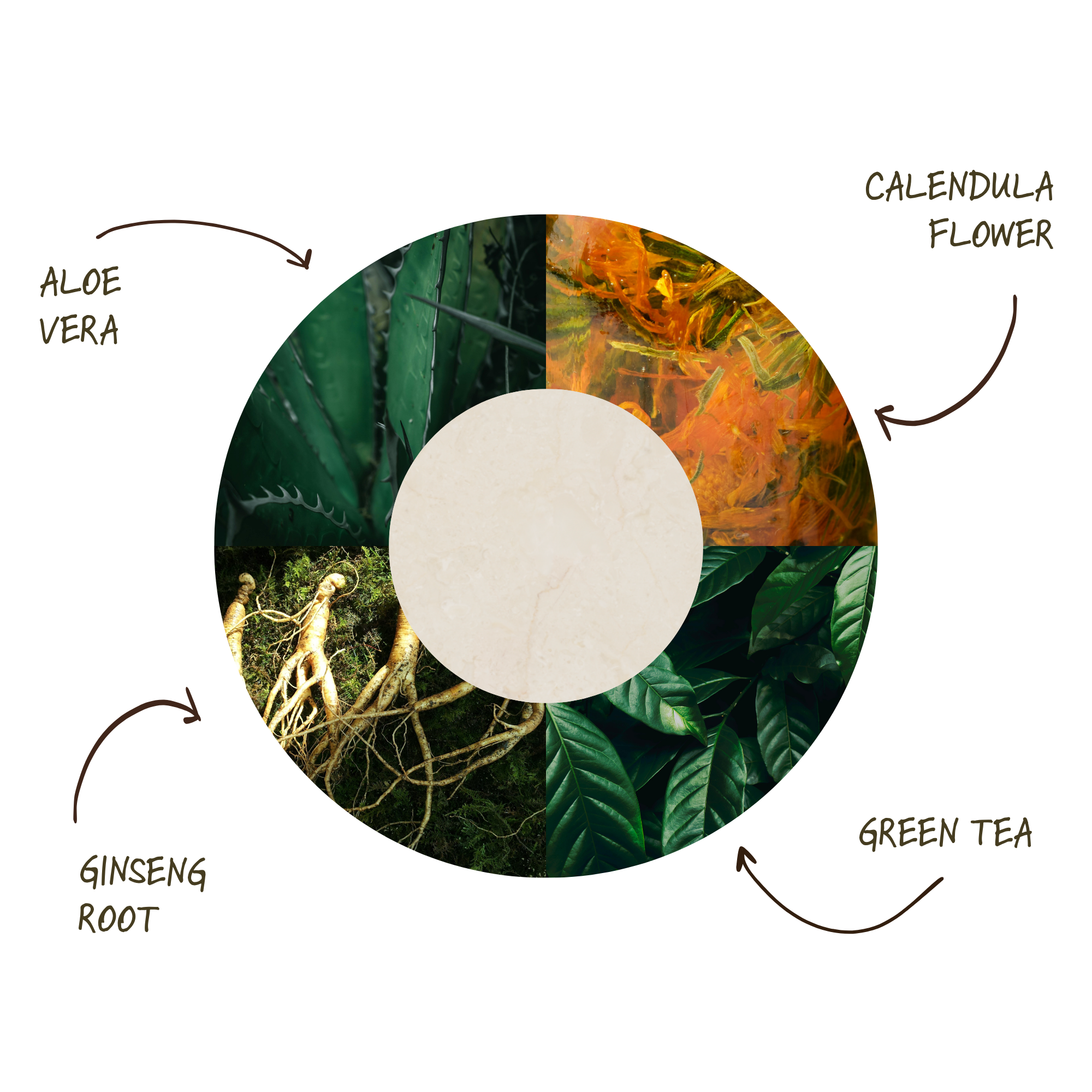 24/7 Spray Tanning | Our Spray Tans Perth — The Touchless Tan