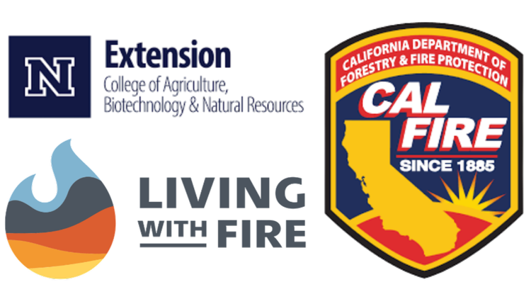 Defensible Space 101: How to Reduce Ember Ignition Around Your Home ...