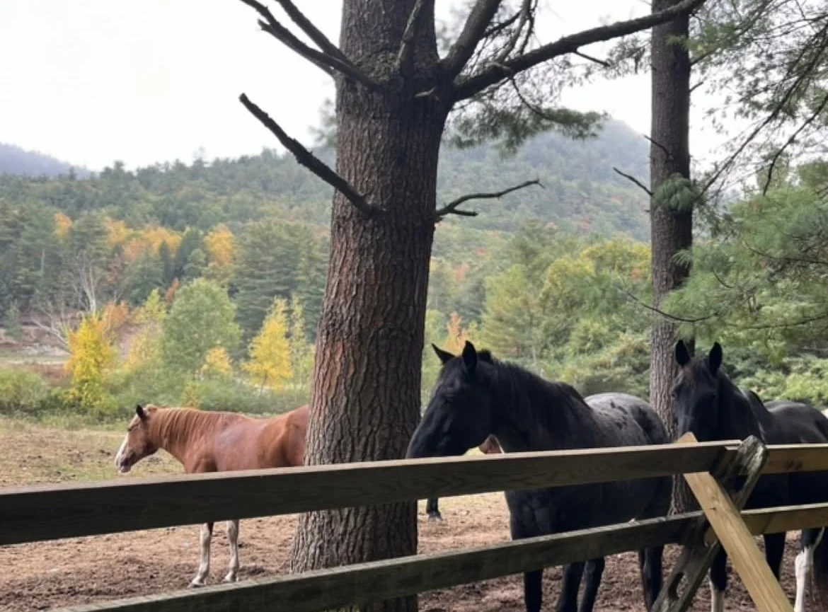 Mountain View Rocking B Ranch