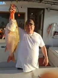 Fresh Fish Delaware | Experience Fresh Seafood Today