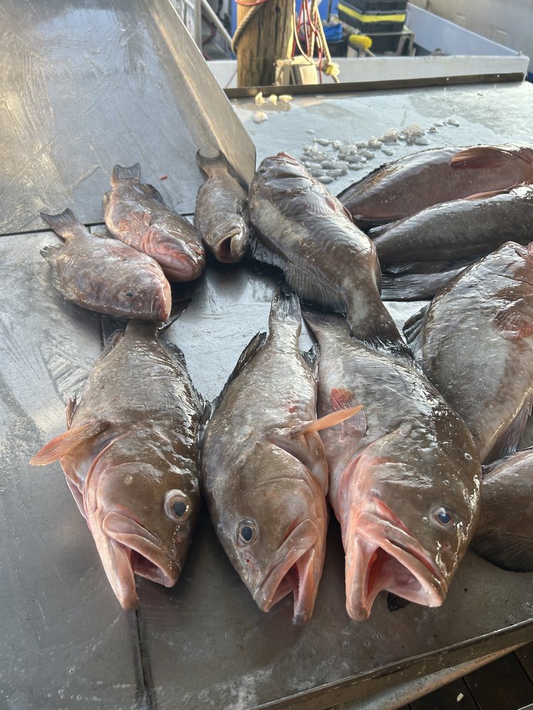 Fresh Fish Delaware | Experience Fresh Seafood Today