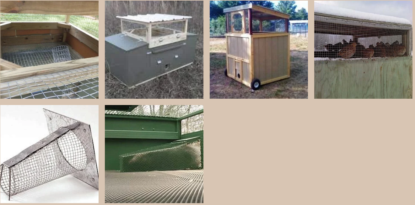 Johnny house — Just Wingin it Hatchery