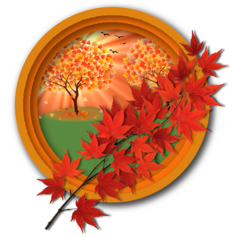Autumn Valley — Aston Norwood Gardens