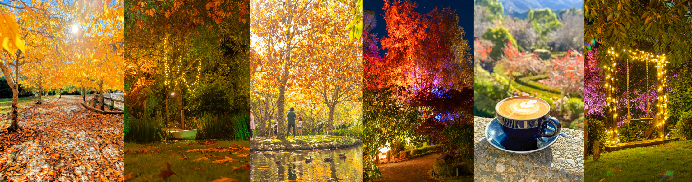 Autumn Valley — Aston Norwood Gardens