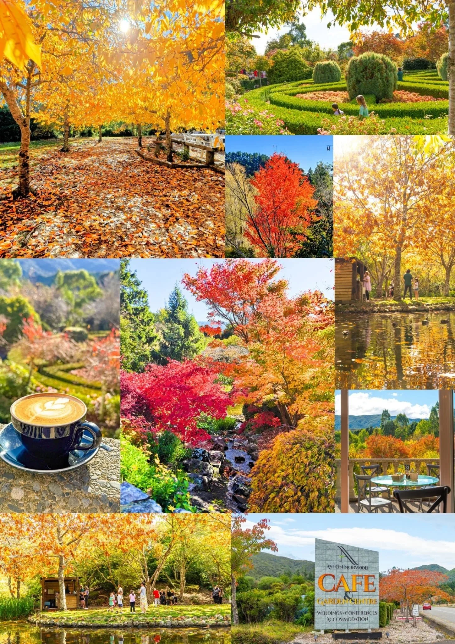 Autumn Valley — Aston Norwood Gardens