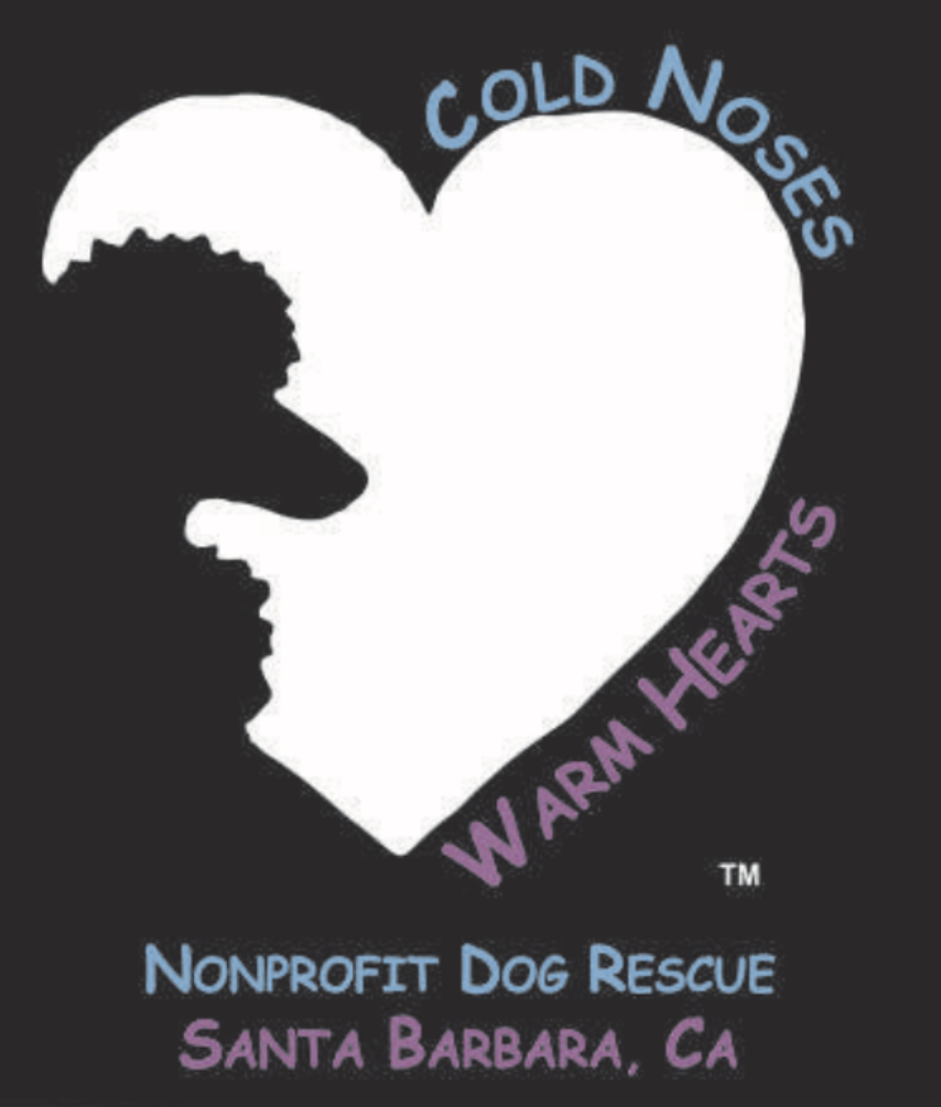 Cold Noses, Warm Hearts