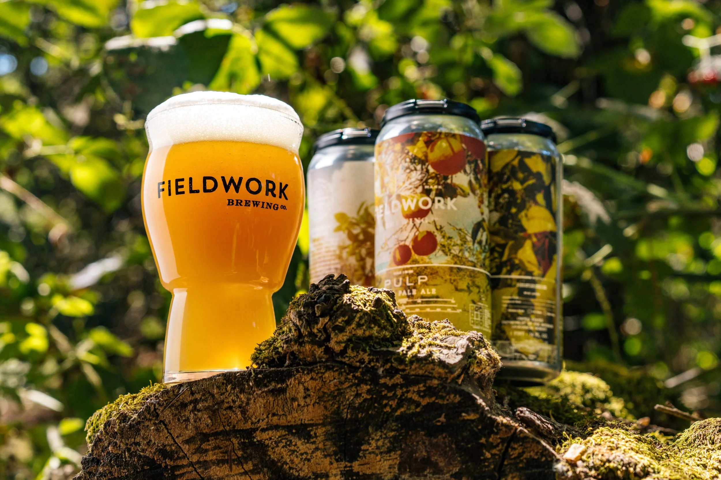 Fieldwork Brewing Co. - Northern CA Craft Brewer - Branding | SSStudio ...