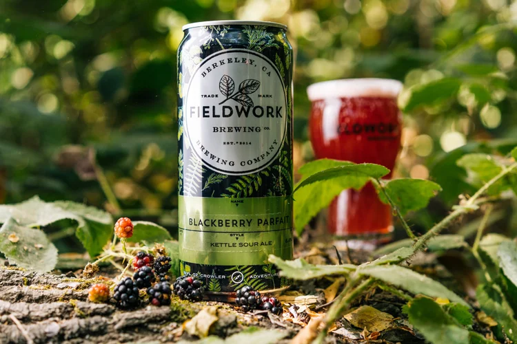 Fieldwork Brewing Co. - Northern CA Craft Brewer - Branding | SSStudio ...