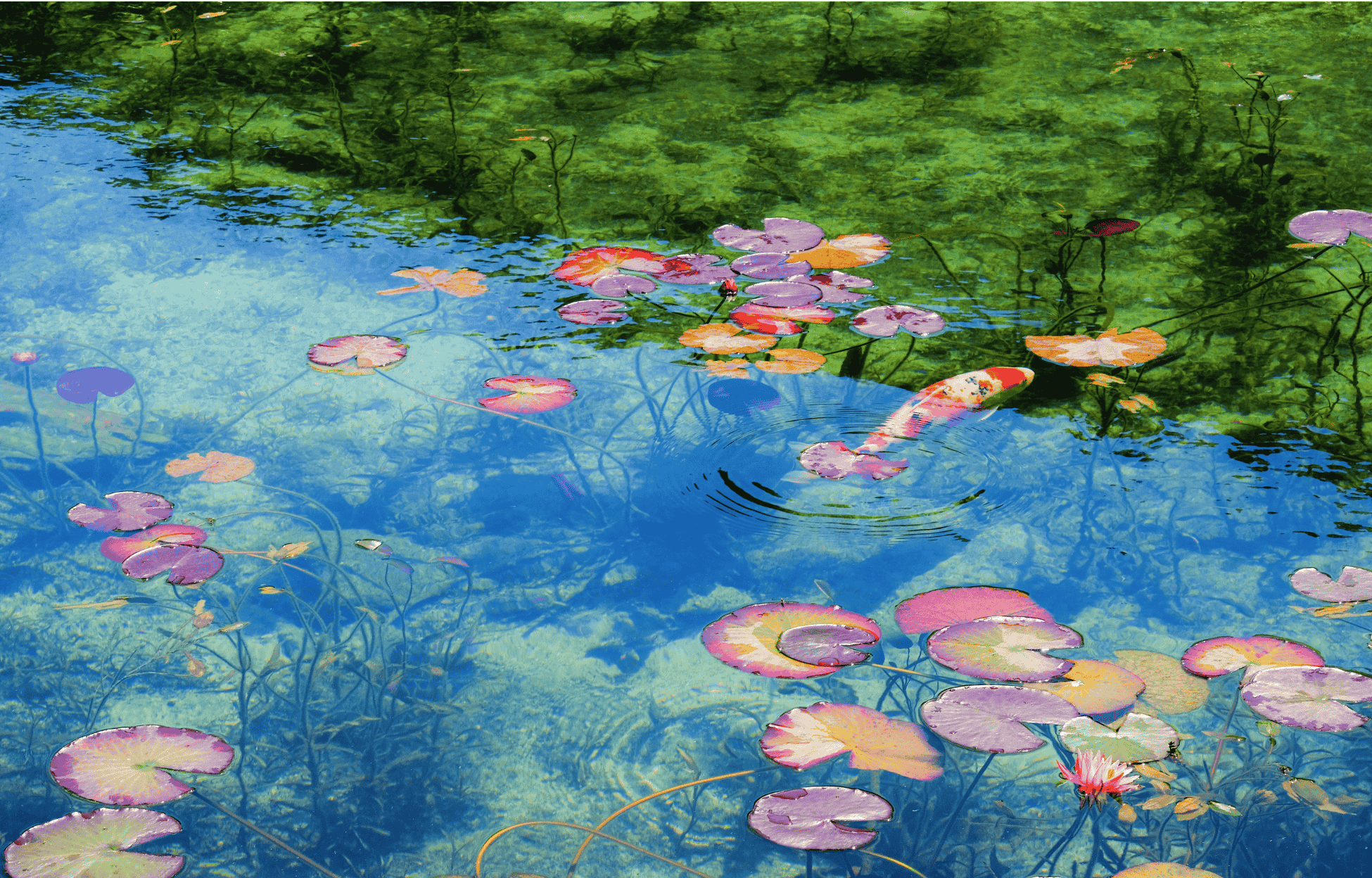 Store - Purchase Reiki Services Here — The Reiki Way