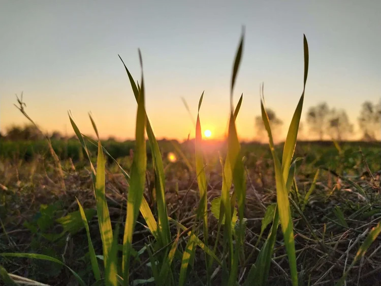 Cultivate Health | Start Your Healing