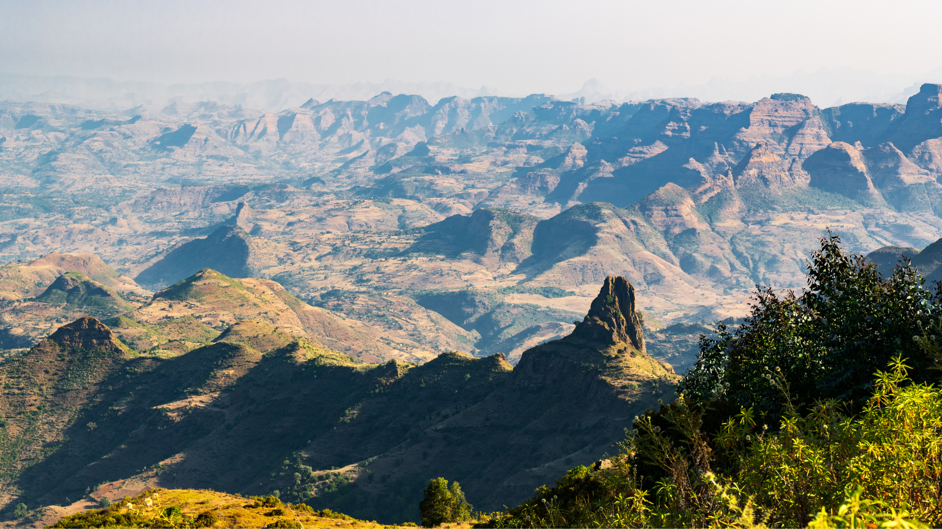 Ecopia Group | Discover Sustainable Growth Today