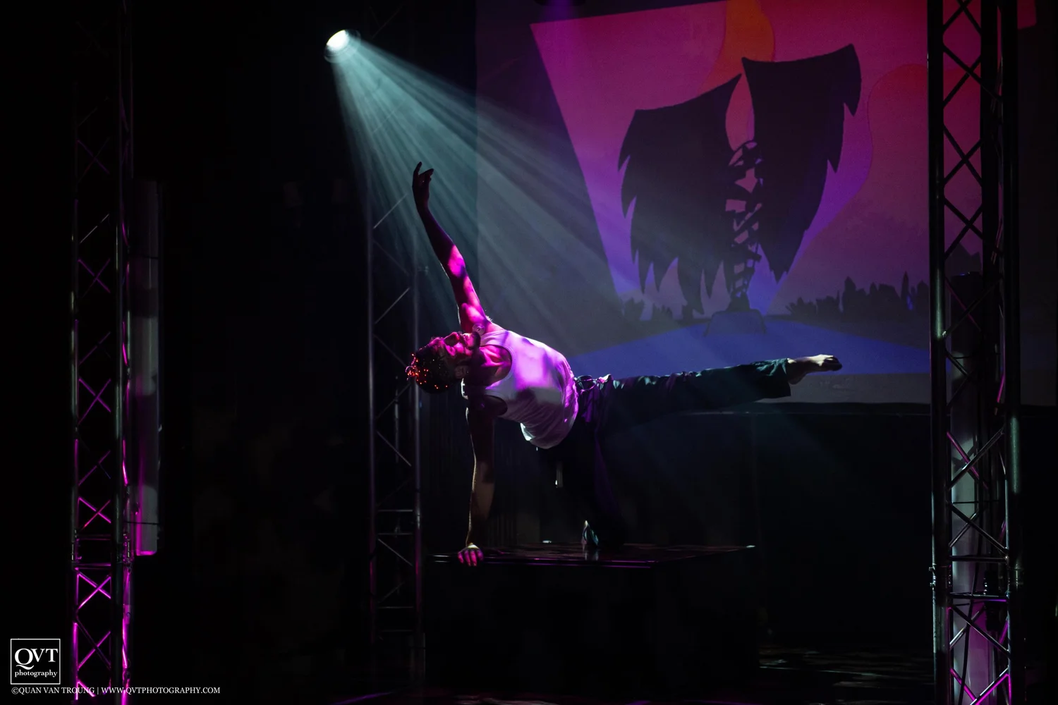 Bluebeard's Castle — GOTHIC OPERA