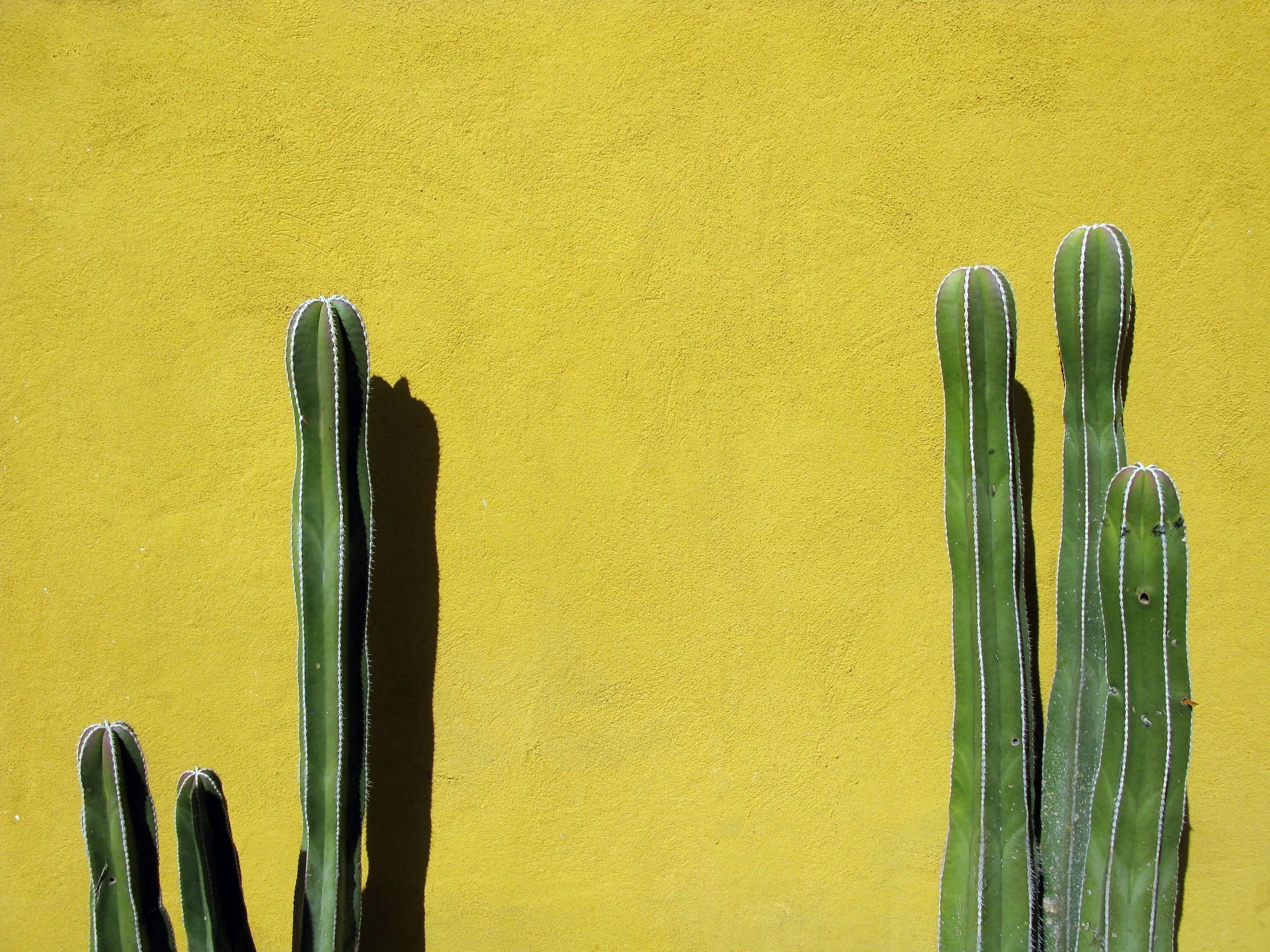 Menu | Discover Delightful Dishes — El Comal Downtown