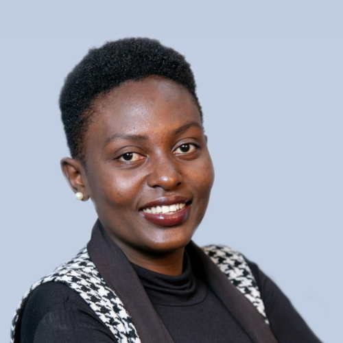 Grantmaking | Access, Transparency, and Equitable Partnerships ...