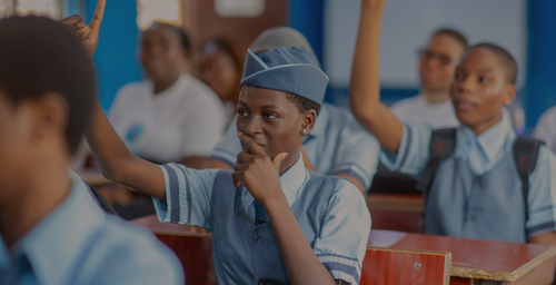 Dr. Ameyo Stella Adadevoh (DRASA) Health Trust — African Collaborative