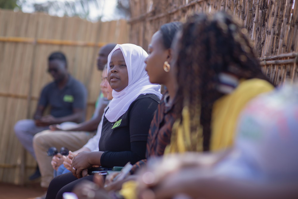 Grantmaking | Access, Transparency, and Equitable Partnerships — African Collaborative