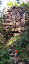 Newlands Forest Hike — fynbos whisperer GUIDED HIKES CAPE TOWN