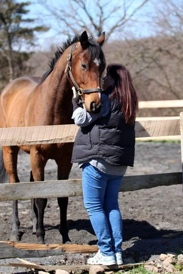 How A Horse Sold Real Estate — Peaceful Boho