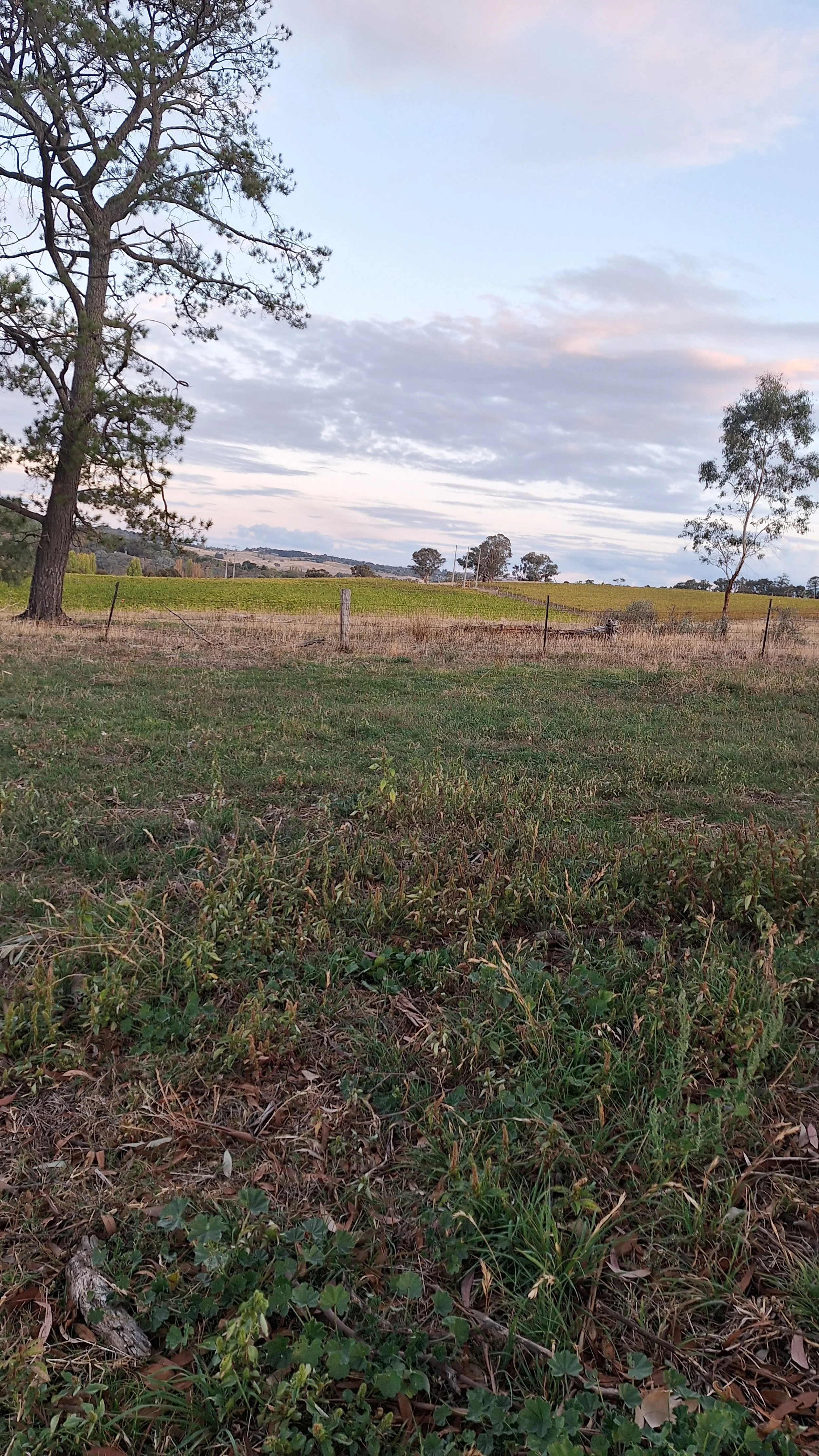 Camping | Discover Nature - Book Your Stay — Williewarrina