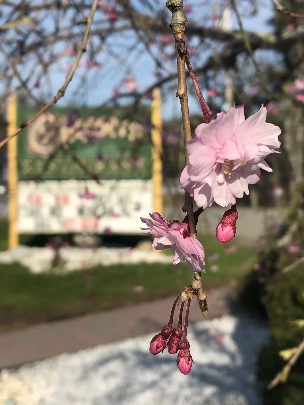Chipper's Restaurant Hancock, Maine