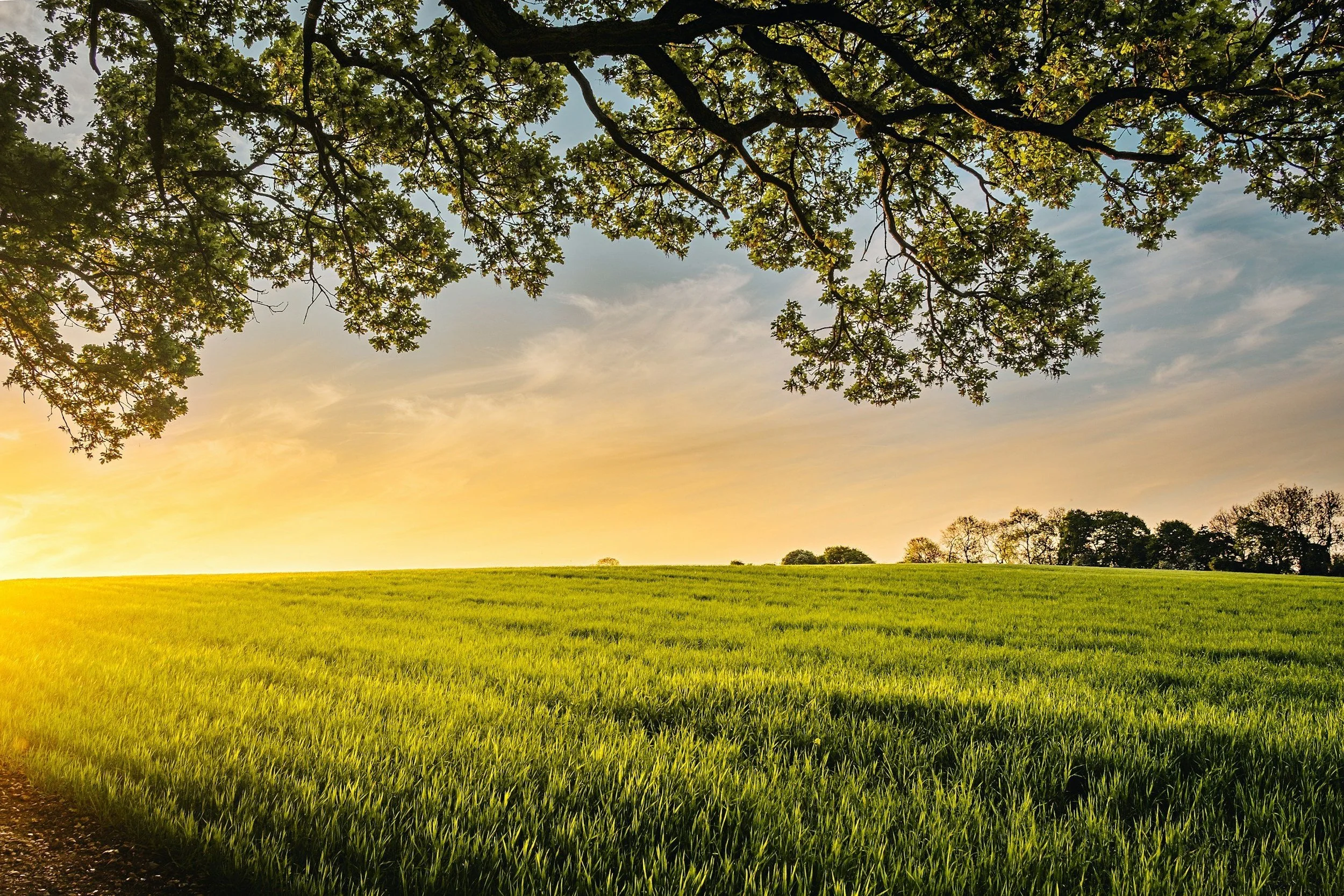 Build on Your Lot in DFW | SGC Custom Homes — SGC HOMES