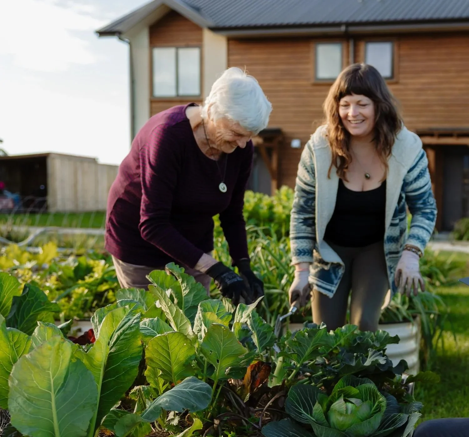 Circle Living | Building a New Story for Housing