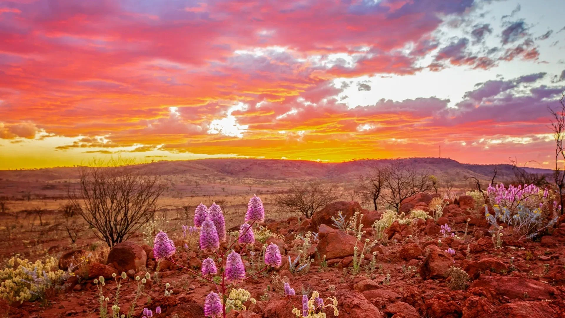 The Paraburdoo Inn
