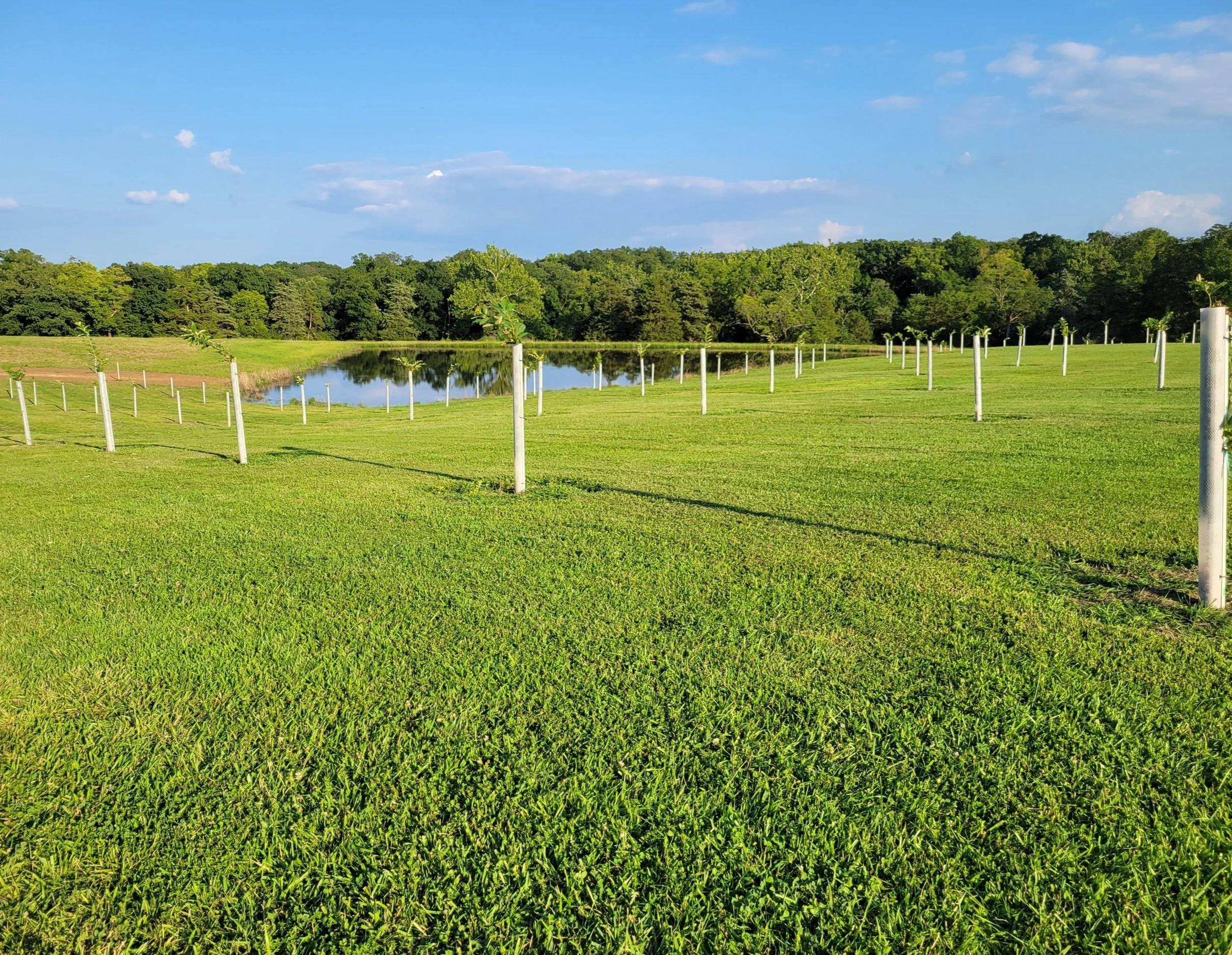 Heindselman Family Farms | Nuts | Berries | Honey | Popcorn | Trees ...