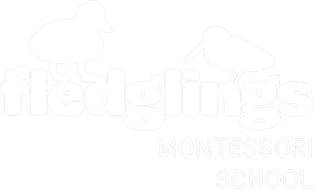 Fledglings Montessori | Explore Our Programs