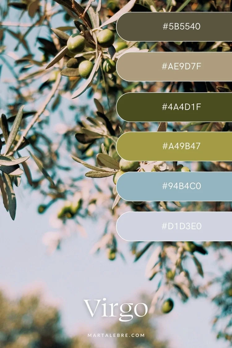 24 Zodiac Color Palettes to Inspire Your Spiritual Brand | Marta Lebre