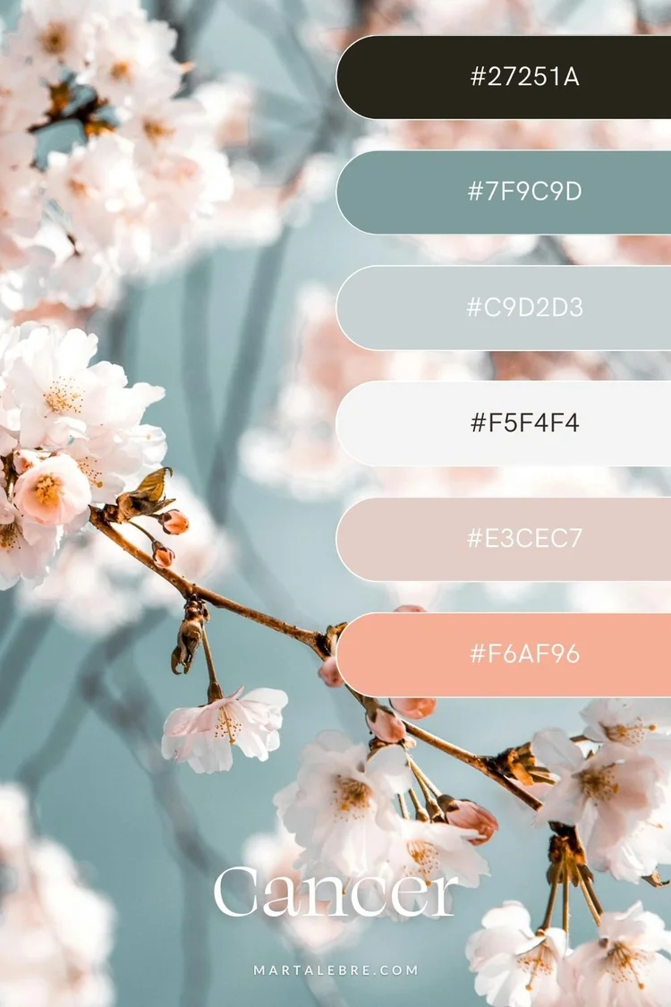 24 Zodiac Color Palettes to Inspire Your Spiritual Brand | Marta Lebre