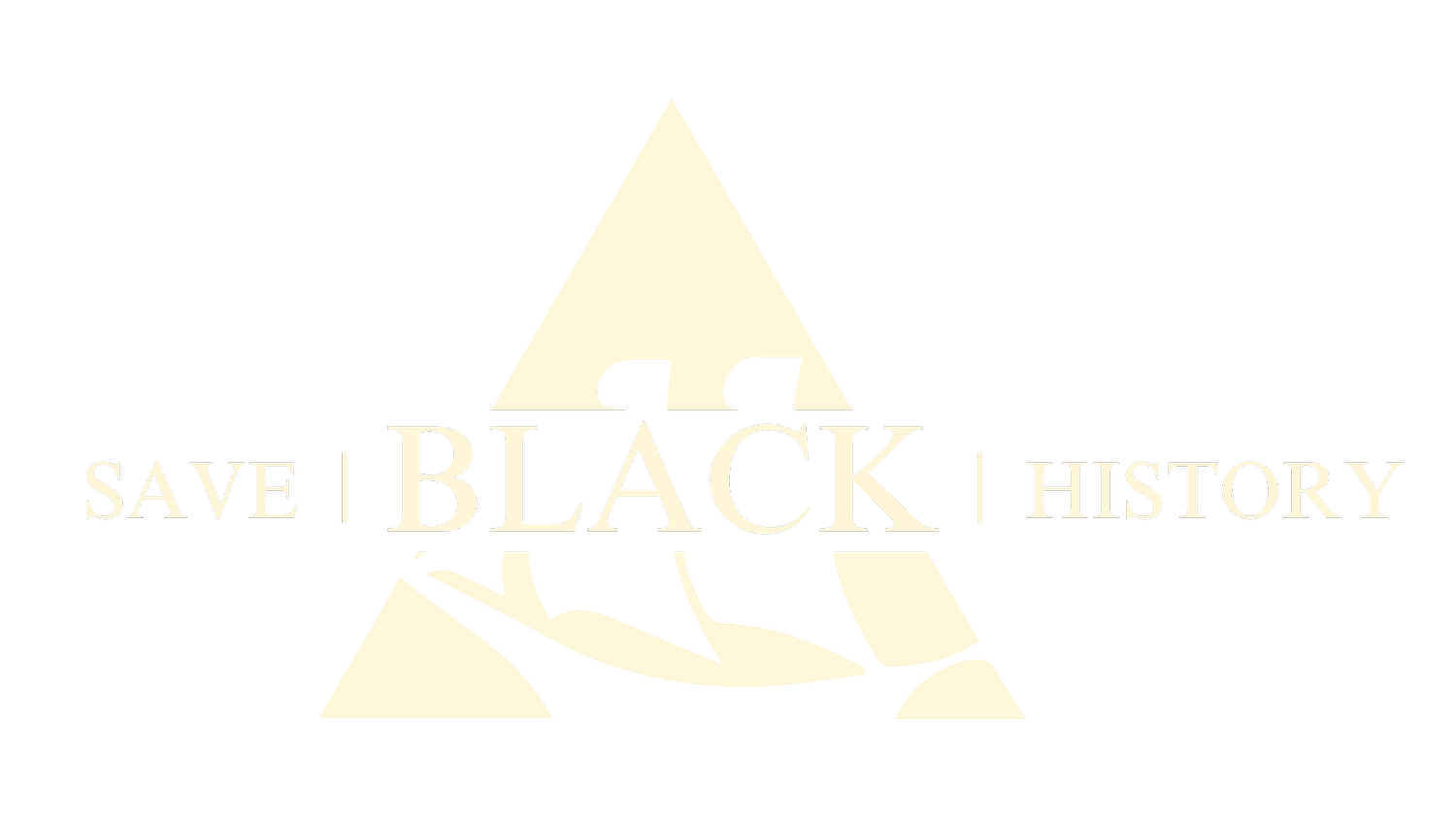 SAVE BLACK HISTORY