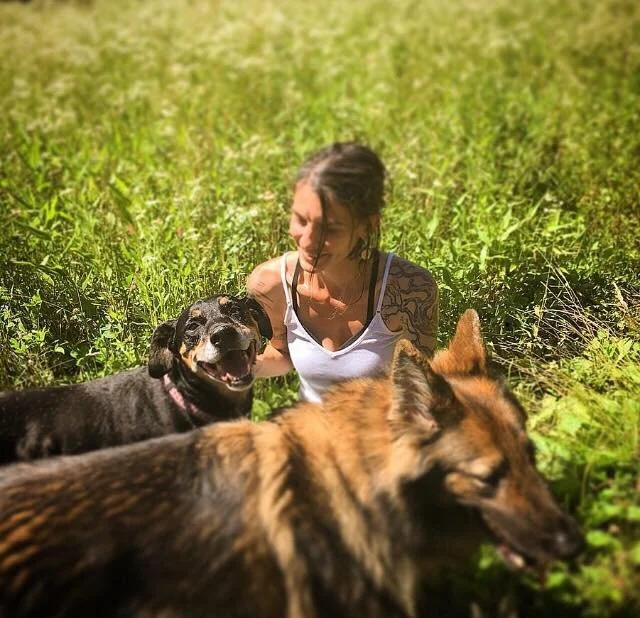 Mindful Mutz | Experts in Dog Training & Behavior