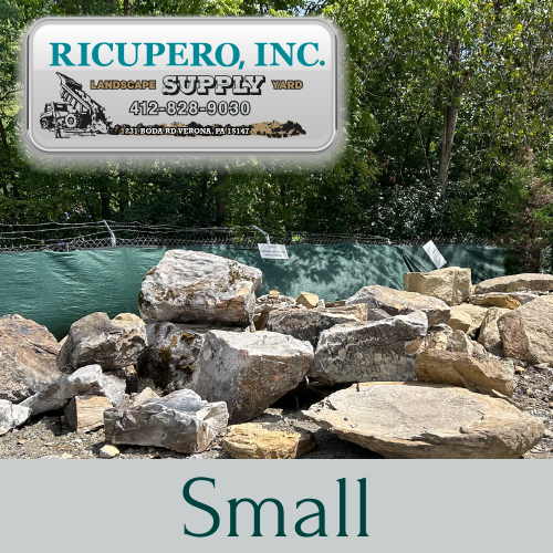 Small Sandstone Boulders | Decorative Landscaping Stones | Ricupero ...