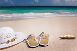 What To Do in Panama City Beach