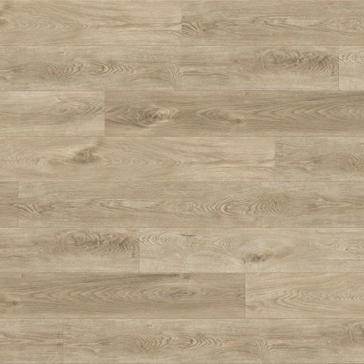 Momentum by TrueTouch | Organic Monolithic Waterproof Wood Flooring ...