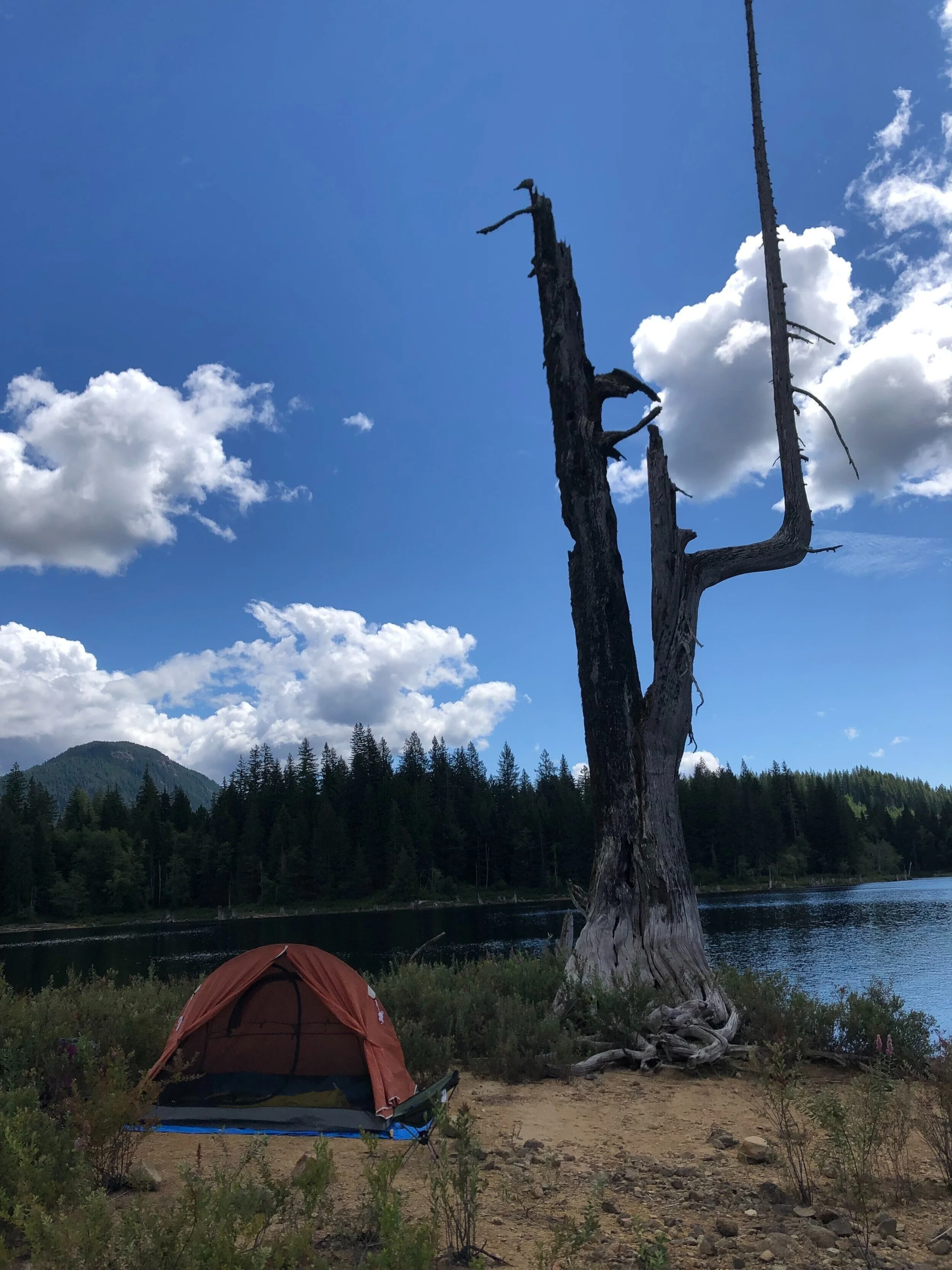 Mitchell's Canoe, Kayak & SUP, Sales and Rentals-qathet Canoe Route