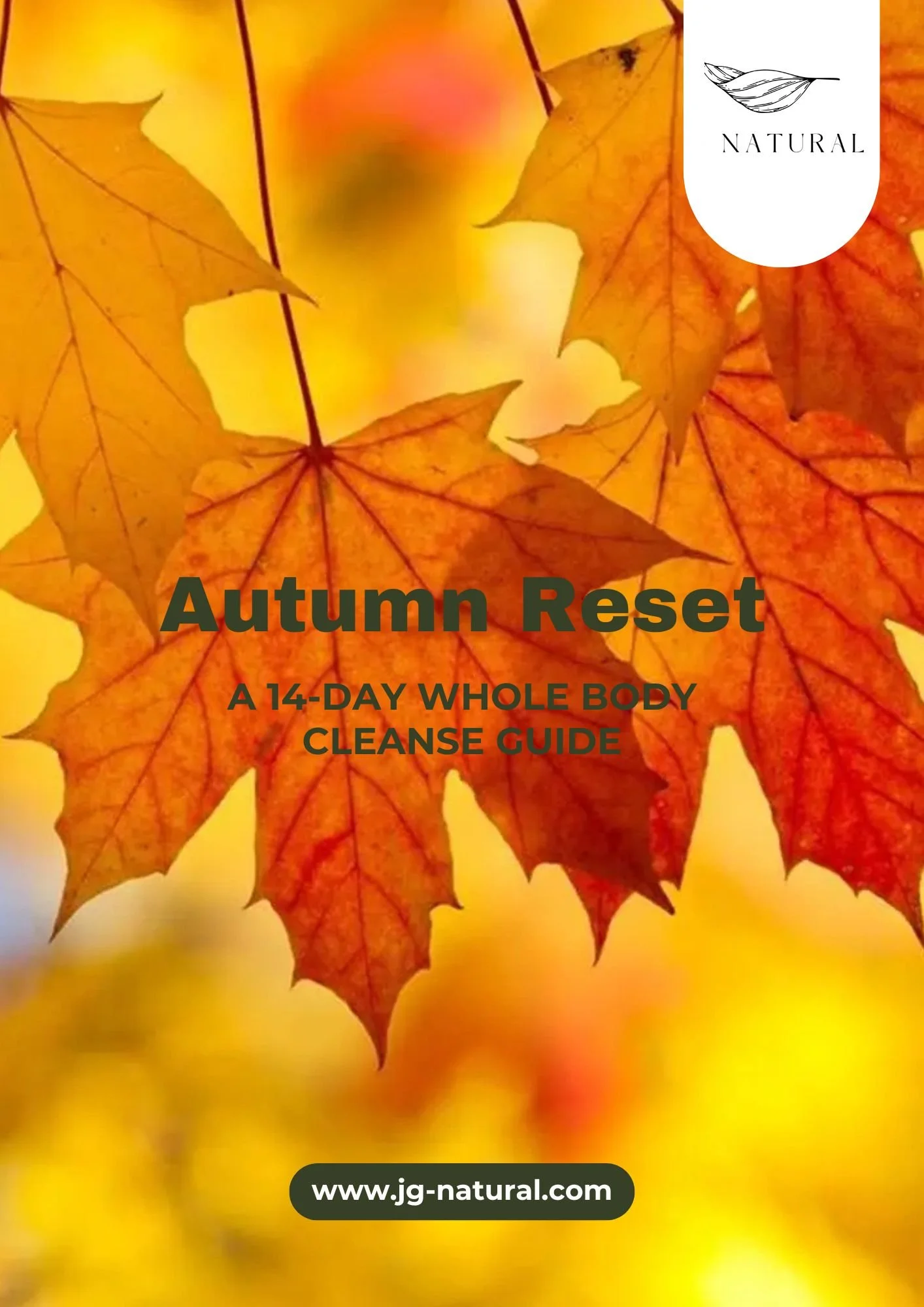 Autumn Cleanse | 14 Day Herbal Detox for Gut Health & Liver Support ...