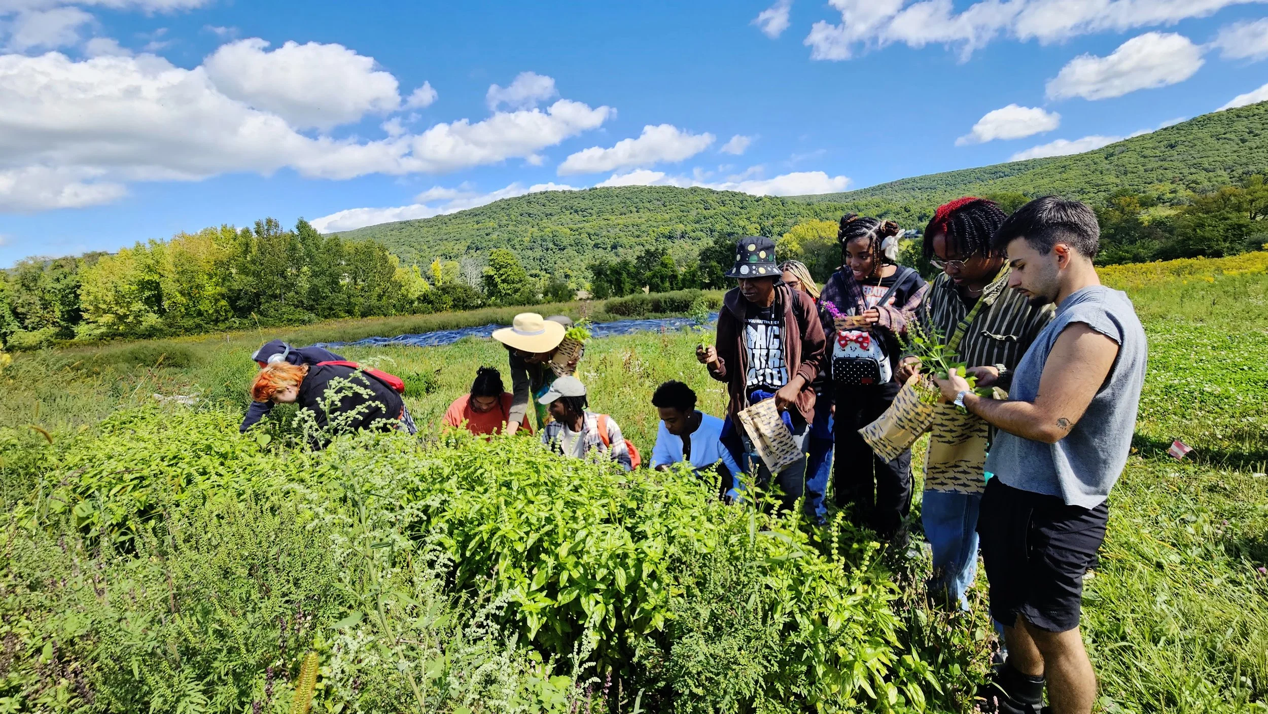 WILDSEED's Community Farm: Regenerative Agriculture, Indigenous ...