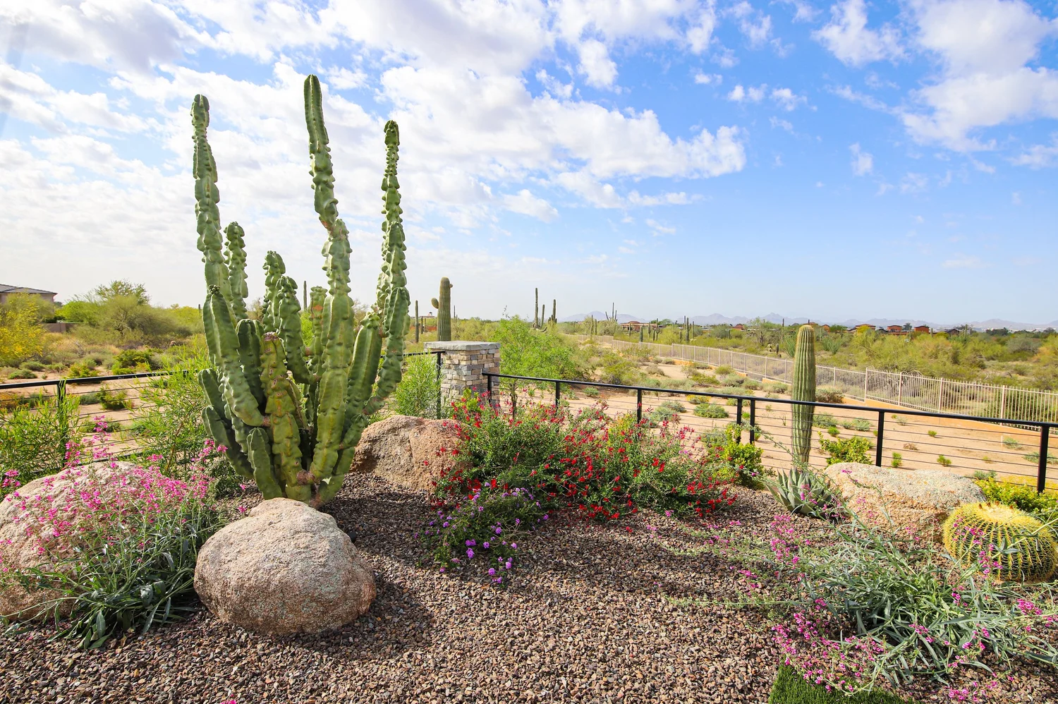 High Desert Designs | Luxury Landscape Design | Phoenix, AZ