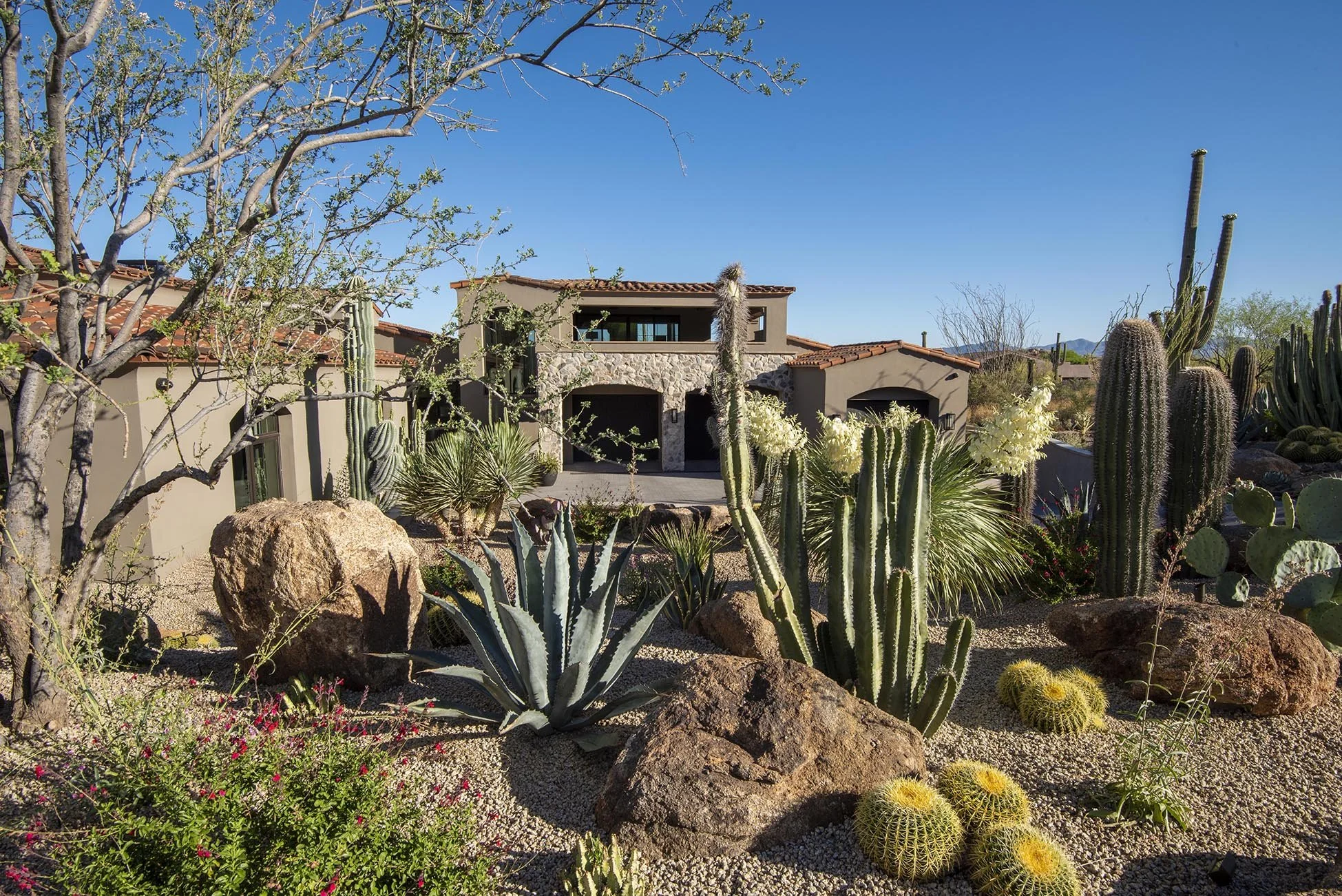 High Desert Designs | Luxury Landscape Design | Phoenix, AZ