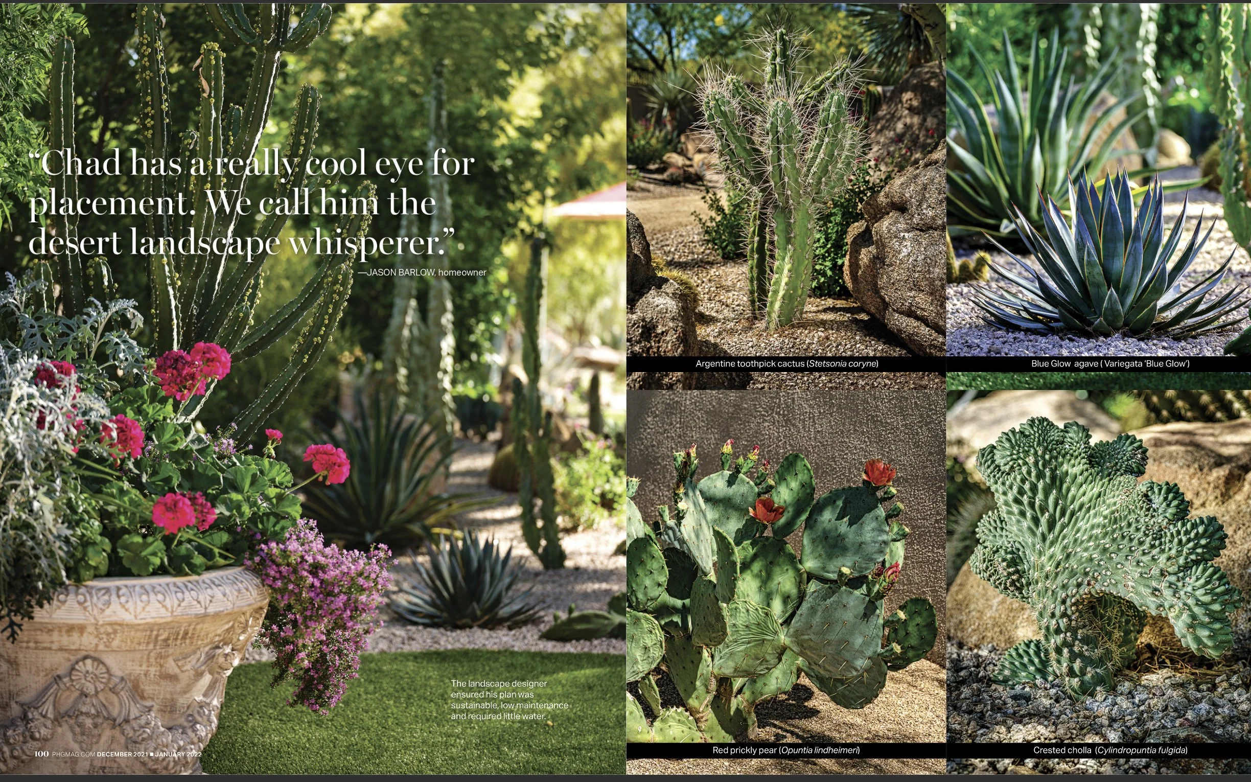 High Desert Designs | Luxury Landscape Design | Phoenix, AZ